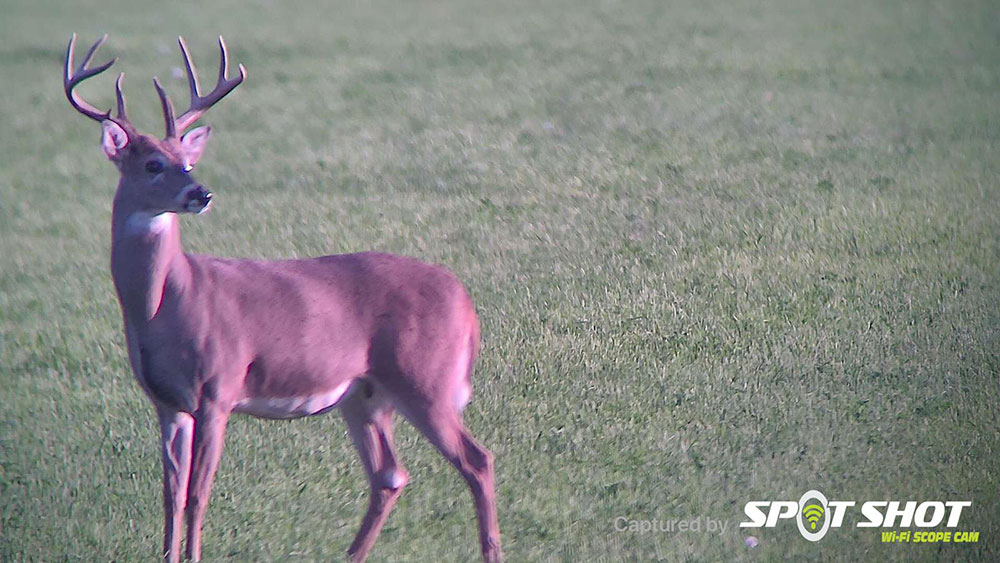 Spot Shot - Wifi Spotting Scope Camera | Shooting Made Easy